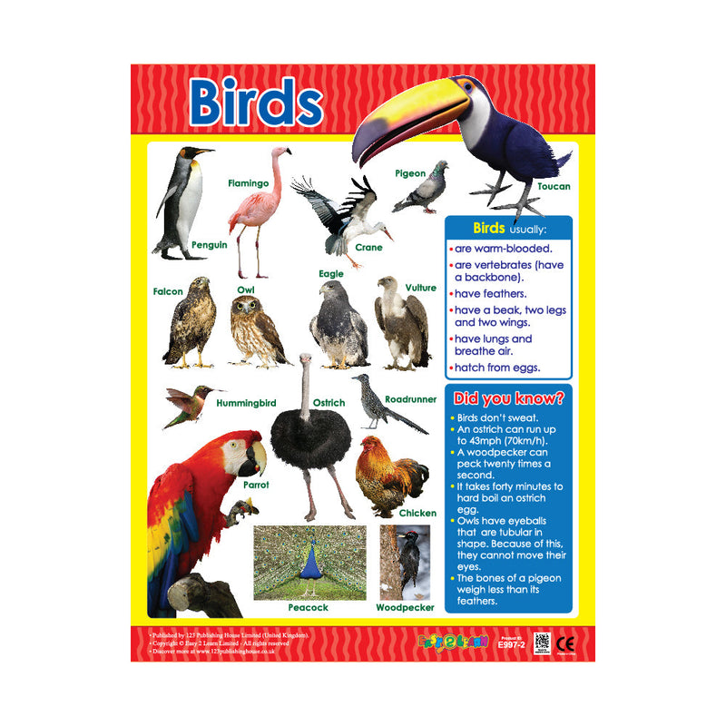 Animal Classification (6 Wall Charts) - Educational Wall Chart Pack in